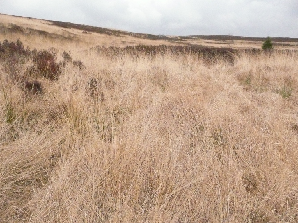 NGS Macmillan Unit officially opens at Chesterfield Royal Hospital